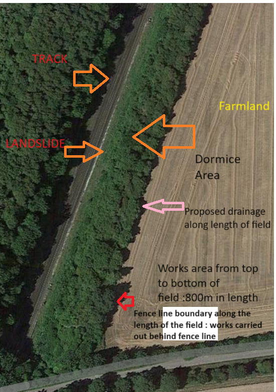 THE DORMICE EFFECT – AwalkwithMO